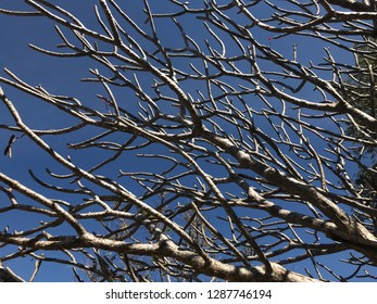 Stock Photo and Image Portfolio by SchwarzerHase | Shutterstock