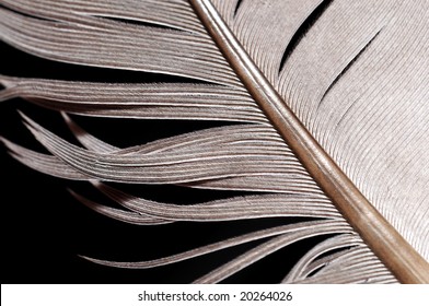 38,341 Feather touch Images, Stock Photos & Vectors | Shutterstock