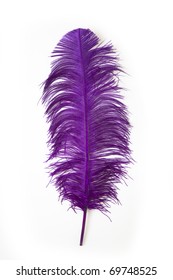 79,446 Purple feathers Images, Stock Photos & Vectors | Shutterstock