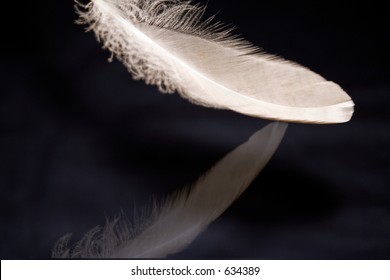 Feather Floating Down Stock Photo 634389 | Shutterstock