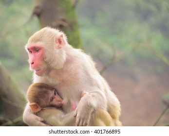 Stock Photo and Image Portfolio by Jenish Gamdha | Shutterstock