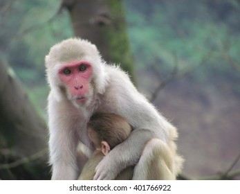 Stock Photo and Image Portfolio by Jenish Gamdha | Shutterstock