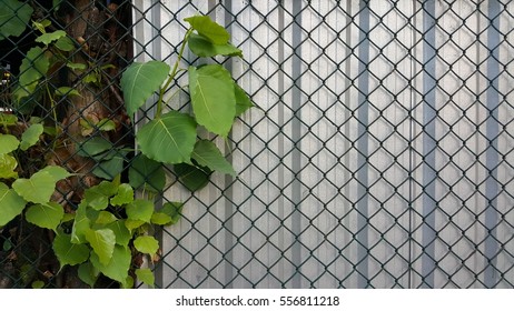 Fence Texture Stock Photo 556811218 | Shutterstock