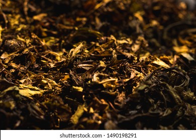 Fermentation Drying Fireweed Ivan Tea Production Stock Photo 1490198291 ...