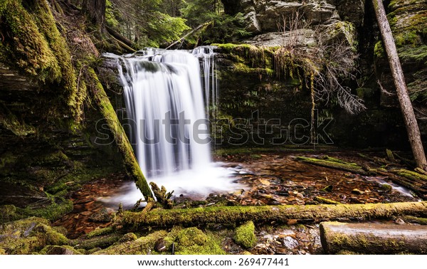 Fern Falls Stock Photo 269477441 | Shutterstock