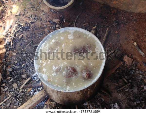 Few Millet Maize Boiling Using Jungle Stock Photo 1758721559 | Shutterstock