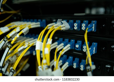 Fiber Optic Networking Stock Photo (Edit Now) 751759231