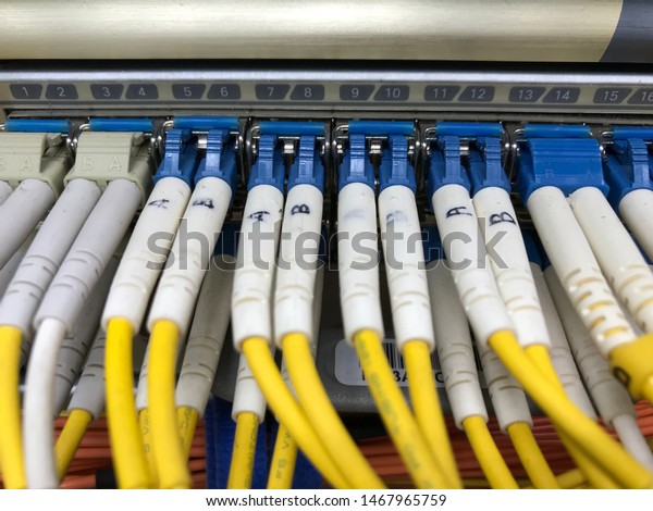 Fiber Optic Cables Connect Core Switch Stock Photo (Edit Now) 1467965759