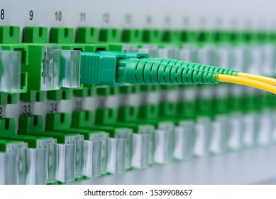 Fiber Optic Cables Optical Distribution Panel Stock Photo 1539908657 ...
