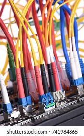 Patch Panel Utp Cables Stock Photo (Edit Now) 1074012