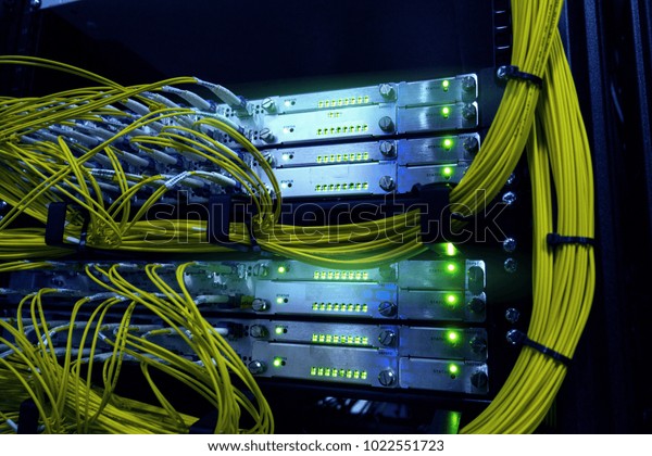 Fiber Optical Connector Interface Fibre Channel Stock Photo 1022551723 ...
