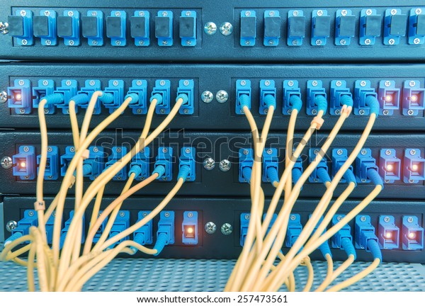 Fiber Optical Network Connection Stock Photo 257473561 | Shutterstock