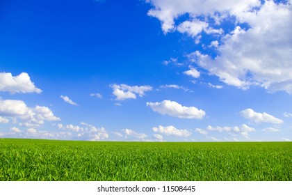 Field Stock Photo 12645376 | Shutterstock