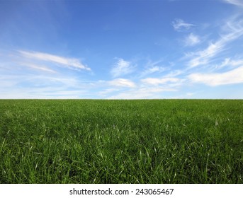 6,757,018 imágenes de Cielo y pasto - Imágenes, fotos y vectores de ...