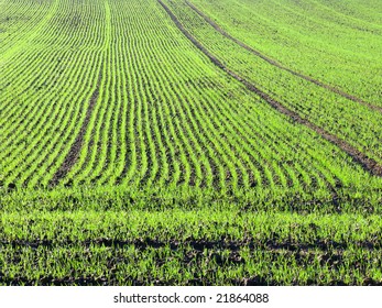 Field Background Stock Photo 21864088 | Shutterstock