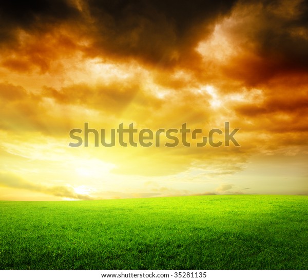 Field Grass Sunset Stock Photo (Edit Now) 35281135