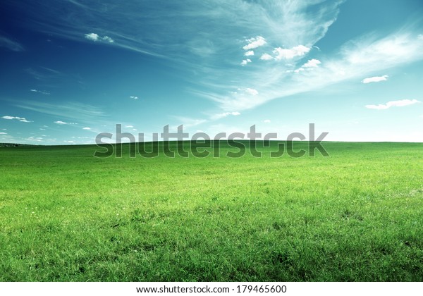 Field Spring Grass Stock Photo 179465600 | Shutterstock