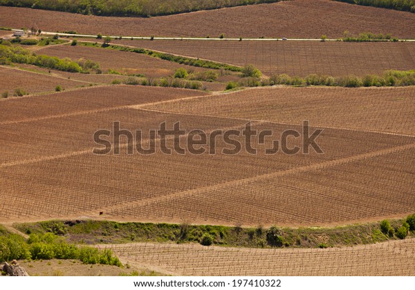 Fields Grapevine View Top Stock Photo (Edit Now) 197410322