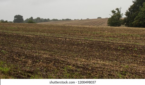Fields Stubble Stock Photo 1200498037 | Shutterstock