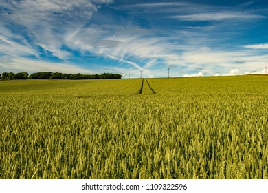 90 Fife farming Images, Stock Photos & Vectors | Shutterstock