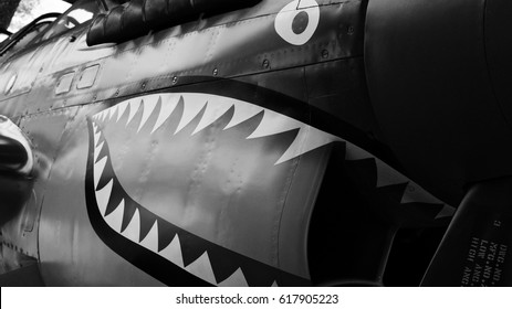 439 Fighter Plane Teeth Images, Stock Photos & Vectors | Shutterstock