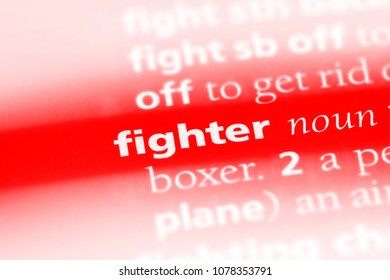 Fighter Word Dictionary Fighter Concept Stock Photo 1078353791 ...