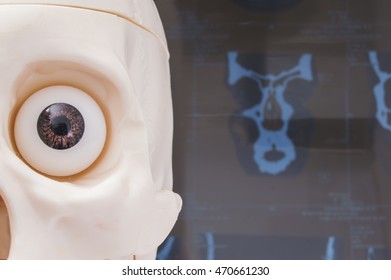 Figure Human Skull Eye Socket Eye Stock Photo 470661230 | Shutterstock