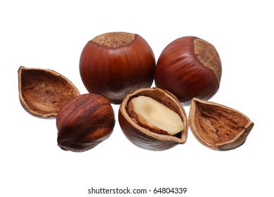 Filbert Nut Stock Photo 64804339 | Shutterstock