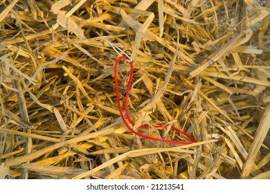 330 Searching for a needle in a haystack Stock Photos, Images ...