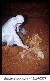 1,234 Skeletons in cave Stock Photos, Images & Photography | Shutterstock