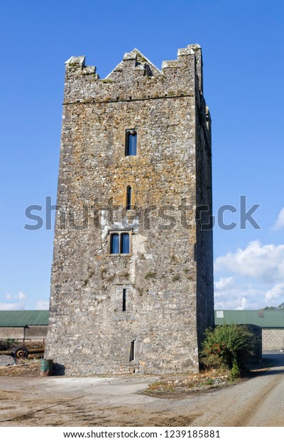 Fine Example Medieval Irish Tower House Stock Photo 1239185881 ...