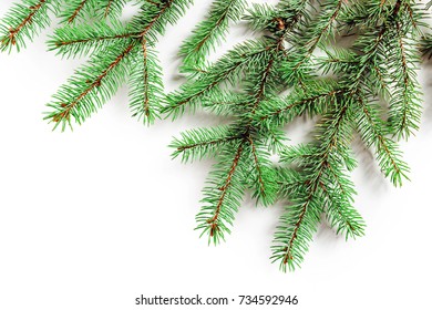 Fir Branches Stock Photo 734592946 | Shutterstock