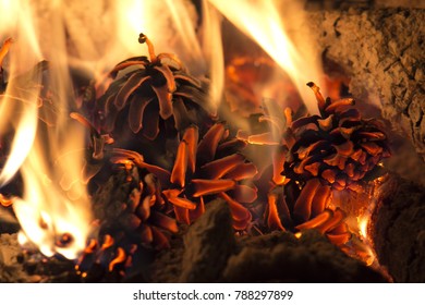 Fir Cone Fire Stock Photo 788297899 | Shutterstock