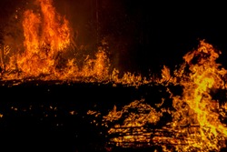 Flames Arise, a Nature Photo by Andrew Schubert Visuals