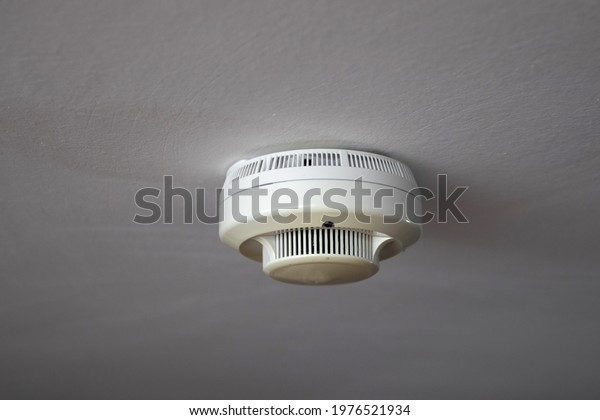 Fire Alarm Sensor System On Ceiling Stock Photo 1976521934 | Shutterstock