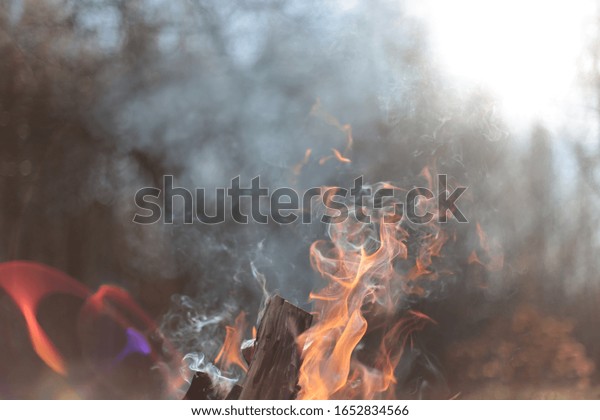 Fire Background Forest Sun Backlight Stock Photo 1652834566 | Shutterstock