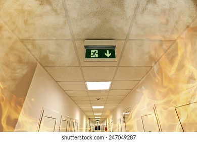 3,703 Running away from fire Images, Stock Photos & Vectors | Shutterstock