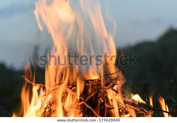 Fire Burning Nature Stock Photo 519628840 | Shutterstock