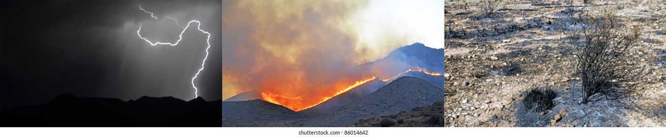 Fire Cause Effect Stock Photo 86014642 | Shutterstock