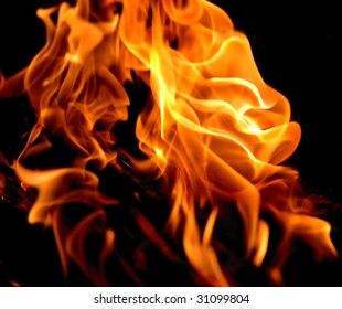 Fire Closeup Stock Photo 31099804 | Shutterstock