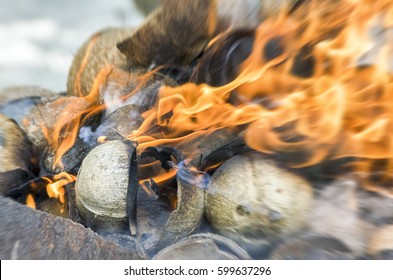1,150 Fire coconut shell Images, Stock Photos & Vectors | Shutterstock