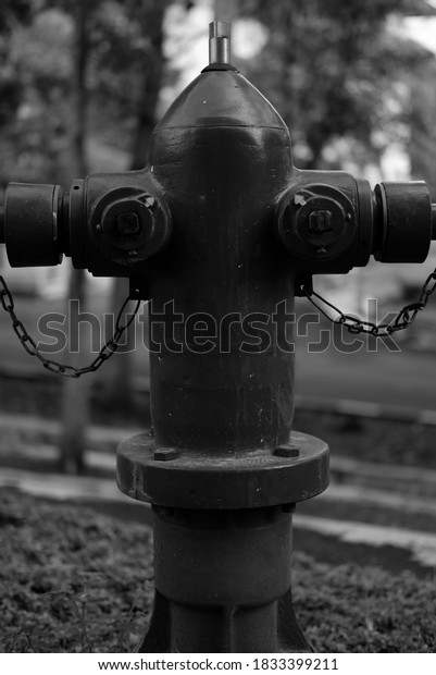 Fire Extinguishers Installed On Side Road Stock Photo 1833399211 ...