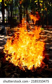 Fire Flame Burning Dry Leaf Forest Stock Photo 2185310475 | Shutterstock
