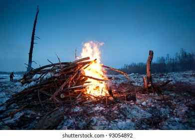 Fire Forrest Stock Photo 93054892 | Shutterstock