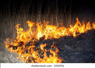 303 Veld fire Images, Stock Photos & Vectors | Shutterstock