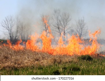 40,458 Farm fire Images, Stock Photos & Vectors | Shutterstock