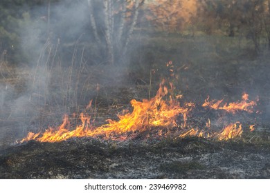 Стоковая фотография 1248442171: Fire Smoke | Shutterstock