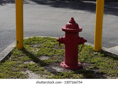Fire Hydrant Firefighting Stock Photo 1307166754 | Shutterstock