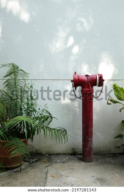 Fire Hydrant Located Front Wall Stock Photo 2197281143 | Shutterstock