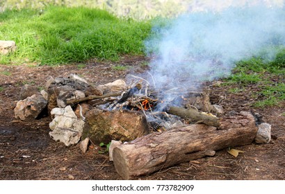 Fire Intensive Oxidation Process Stock Photo 773782909 | Shutterstock
